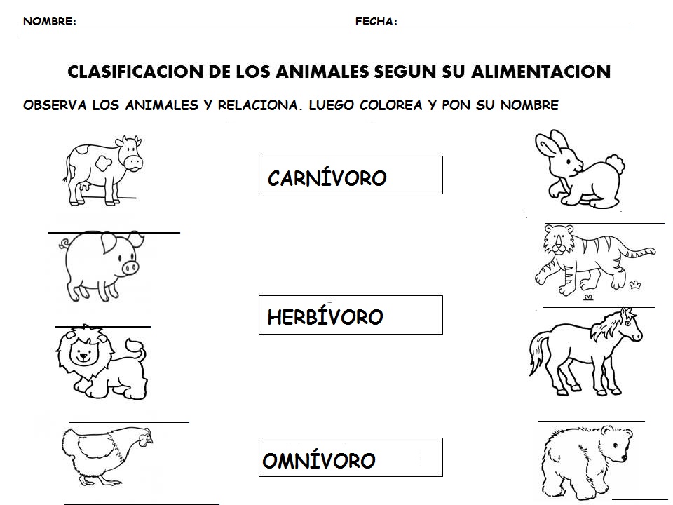 Herbivoros Carnivoros Y Omnivoros - FDPLEARN