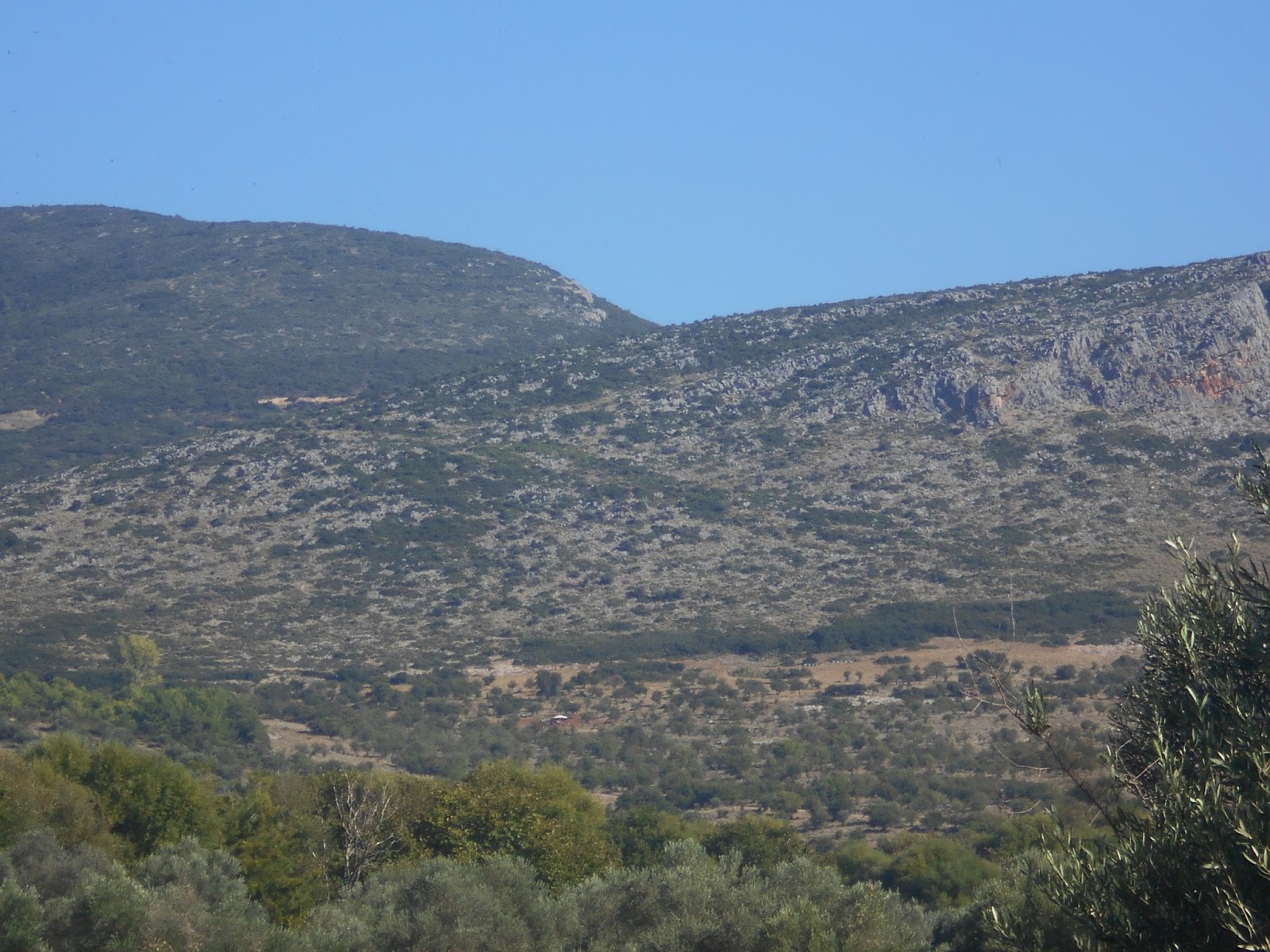 http://notakymothoe.blogspot.com: "ΕΛΛΗΝΙΚΗ ΥΠΑΙΘΡΟΣ"ΦΩΤΟΓΡΑΦΙΖΕΙ Η ...