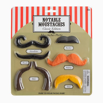 My Kind Of Introduction: It's been a Mustache Kind of Year!