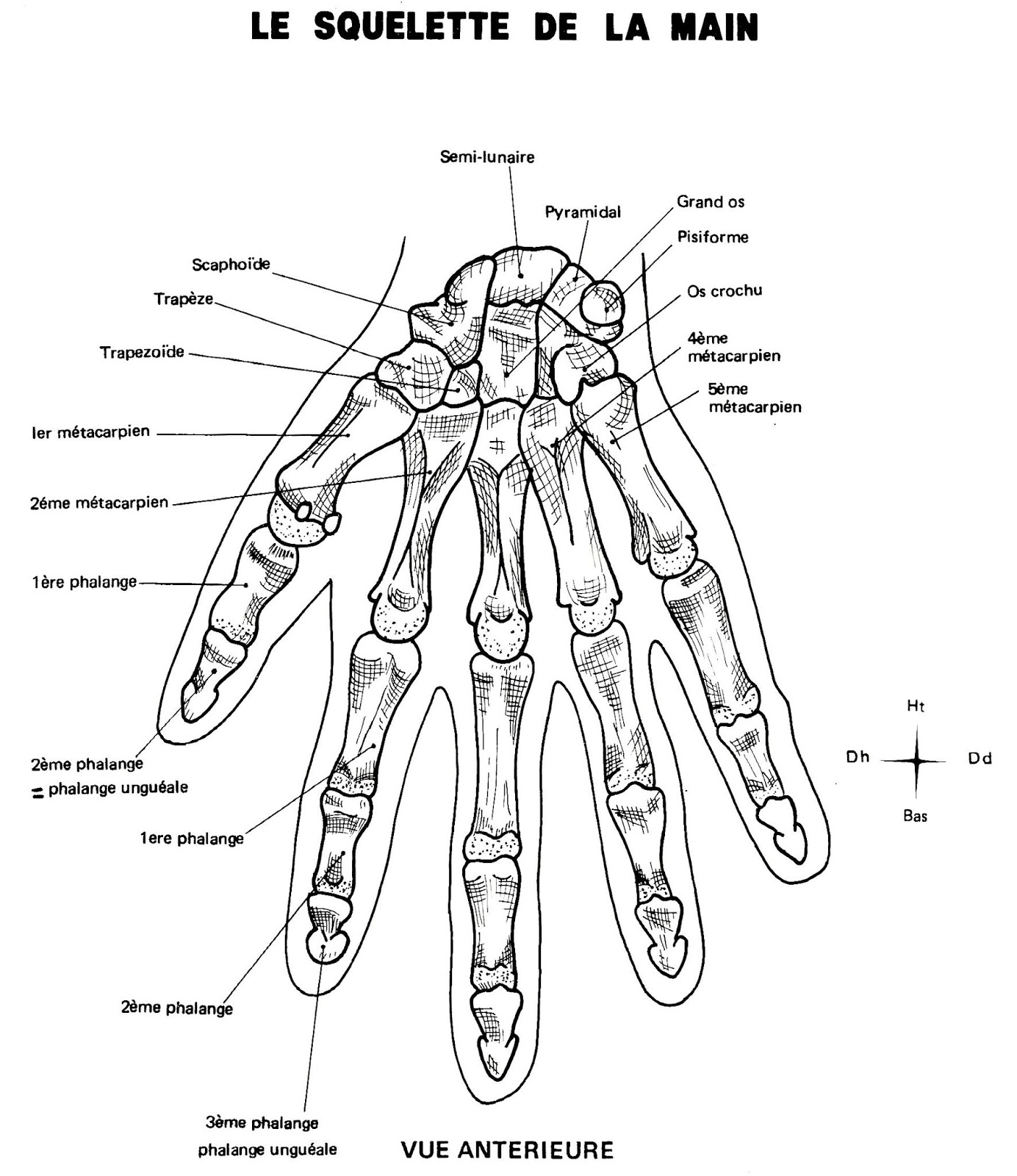 Un Jour En Chirurgie Orthopedique Et Traumatologique: Fracture de la ...