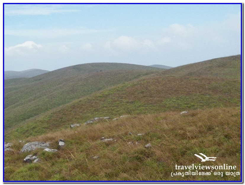 പ്രകൃതിയിലേക്ക് ഒരു യാത്ര (a travel towards NATURE): PULLUMEDU a unique ...