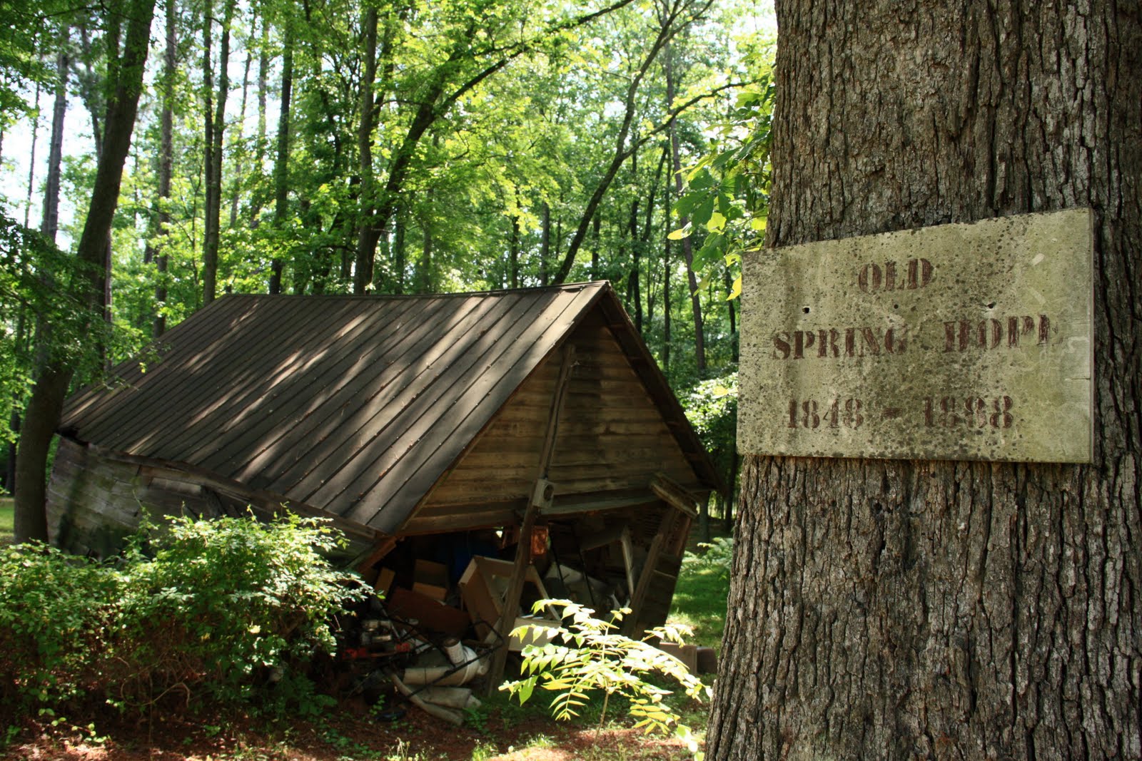 All Things Spring Hope