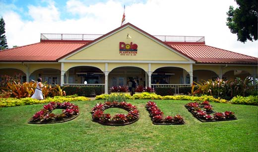 Surfing the Americas with Makaha and Kalani: Visiting Dole "Pineapple ...