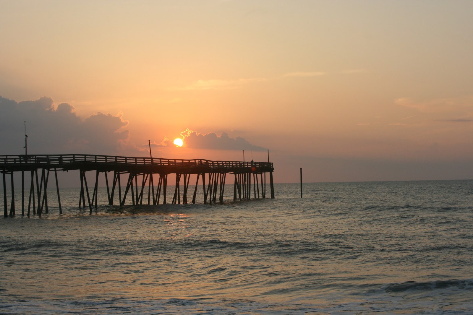 Outer/Inner Banks Paradise Photography: Lorri Lee Chambers