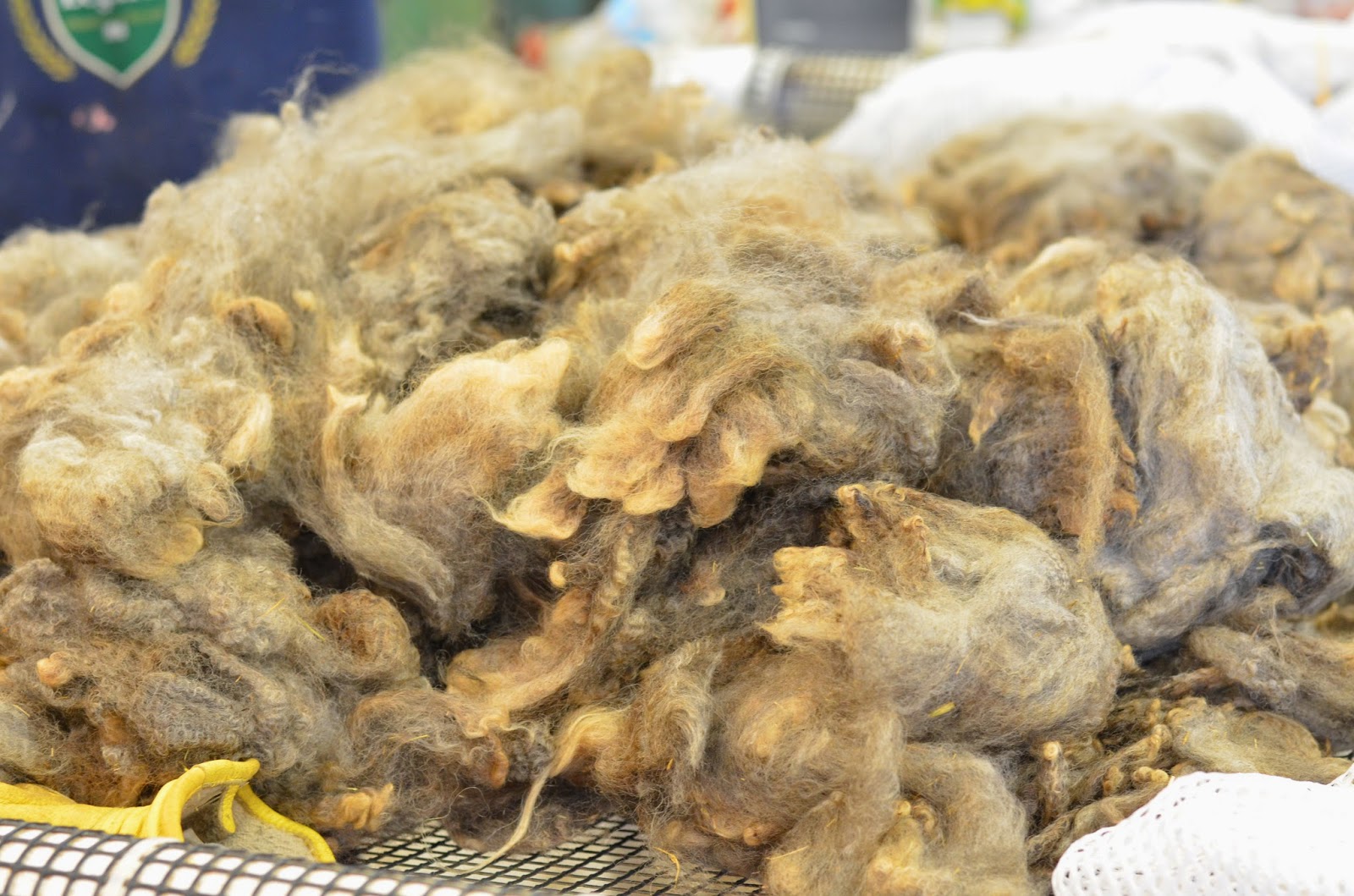 The Taea Made Blog: A Tour of Dakota Fiber Mill