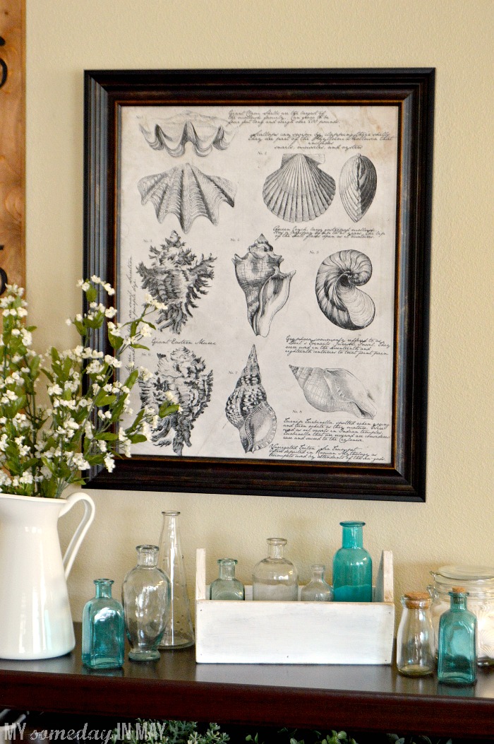 Sea Shell Collection - My Someday in May