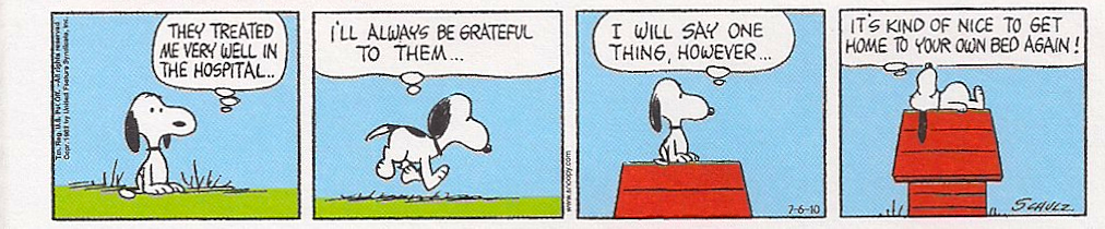 Jason's View from DC: Snoopy Comes Home