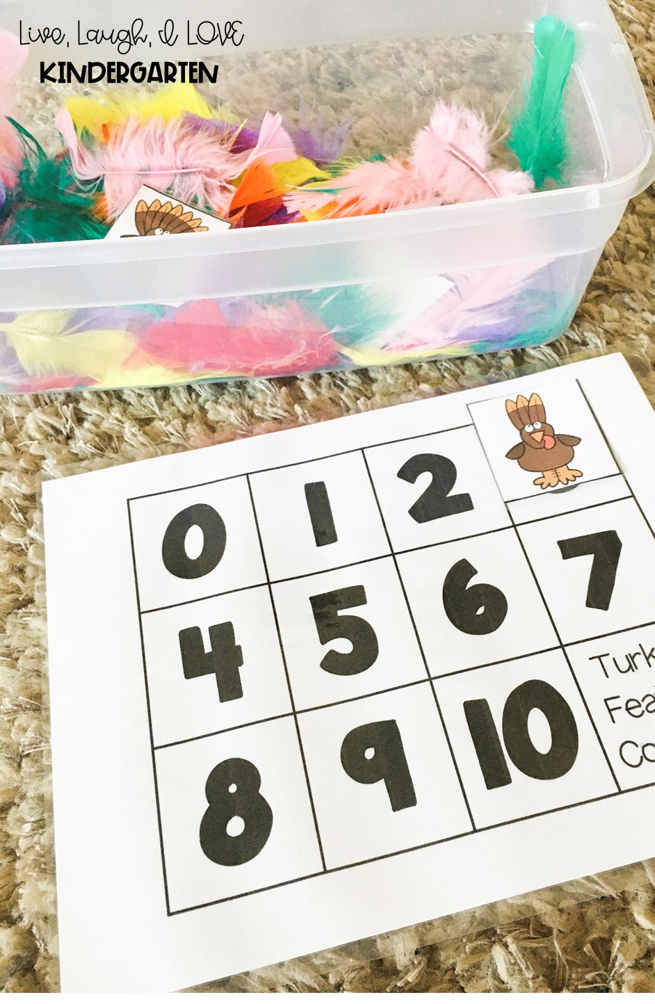 I placed the turkey cards into the bin and we pulled out a card and ...