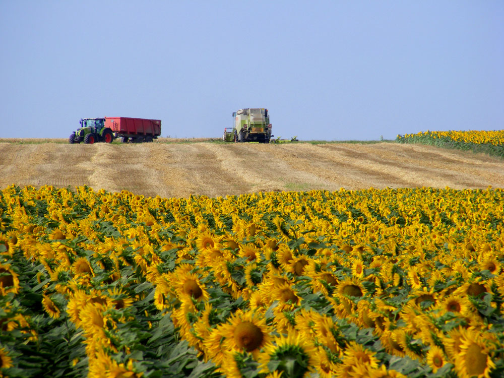 Days on the Claise: Farming in France Today