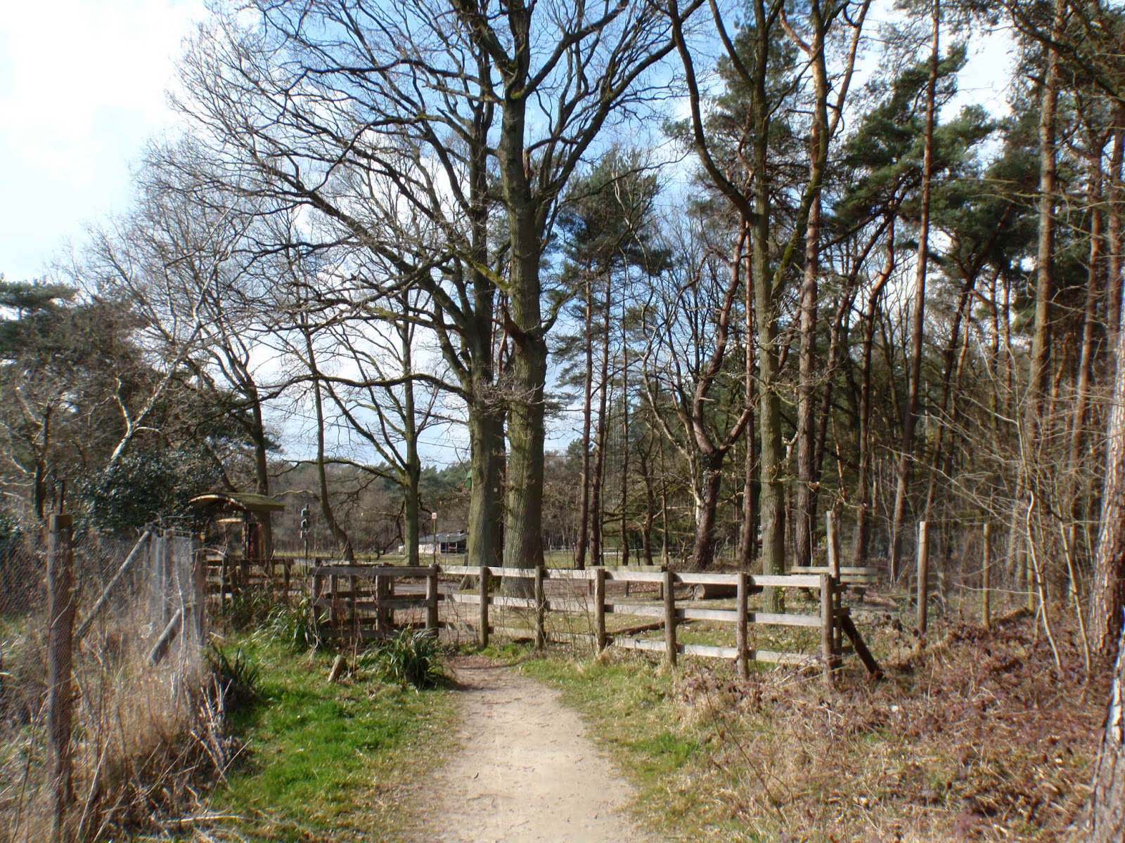 Walking Jeff: Wandeling Zoersel 22/03/2016
