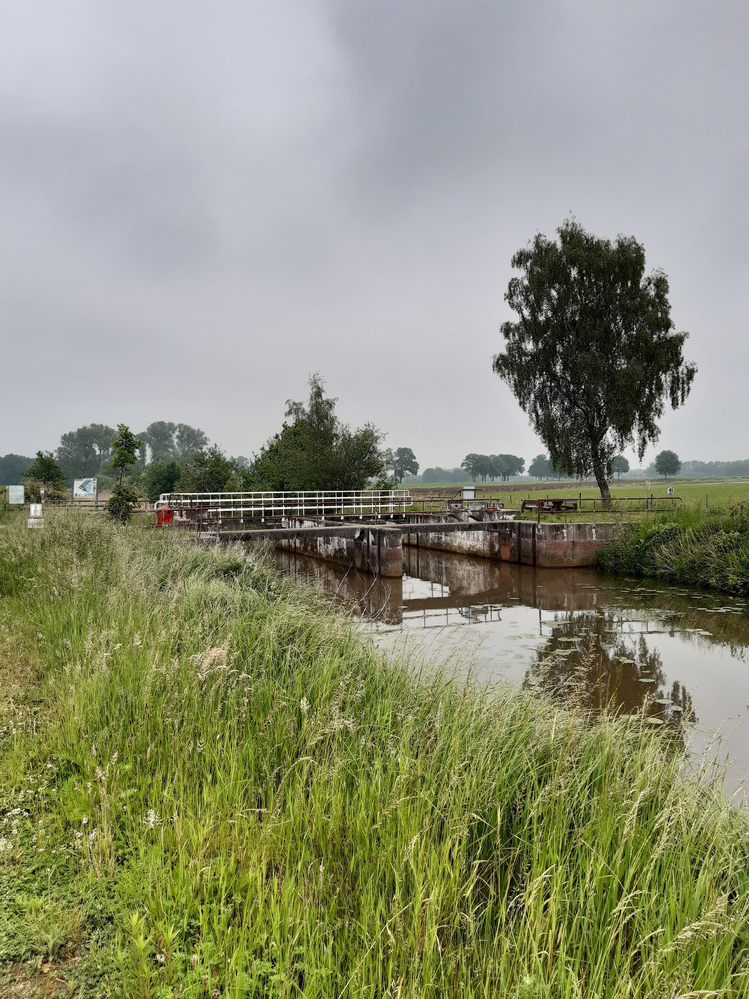 Walking Jeff: wandeling 2328 Meersel Dreef- Hoogstraten 18,5 km.