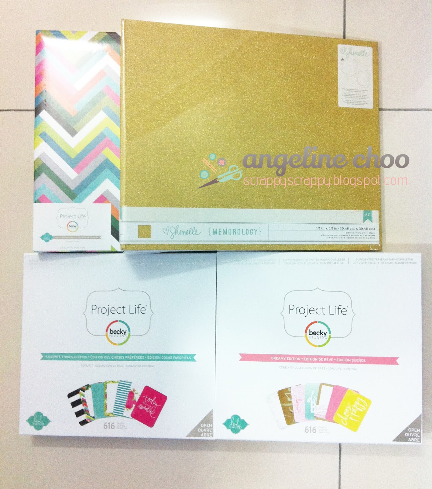 Heidi Swapp Project Life kit review - Scrappy Scrappy