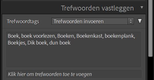Digitaalfotobeheer: Trefwoorden in Lightroom