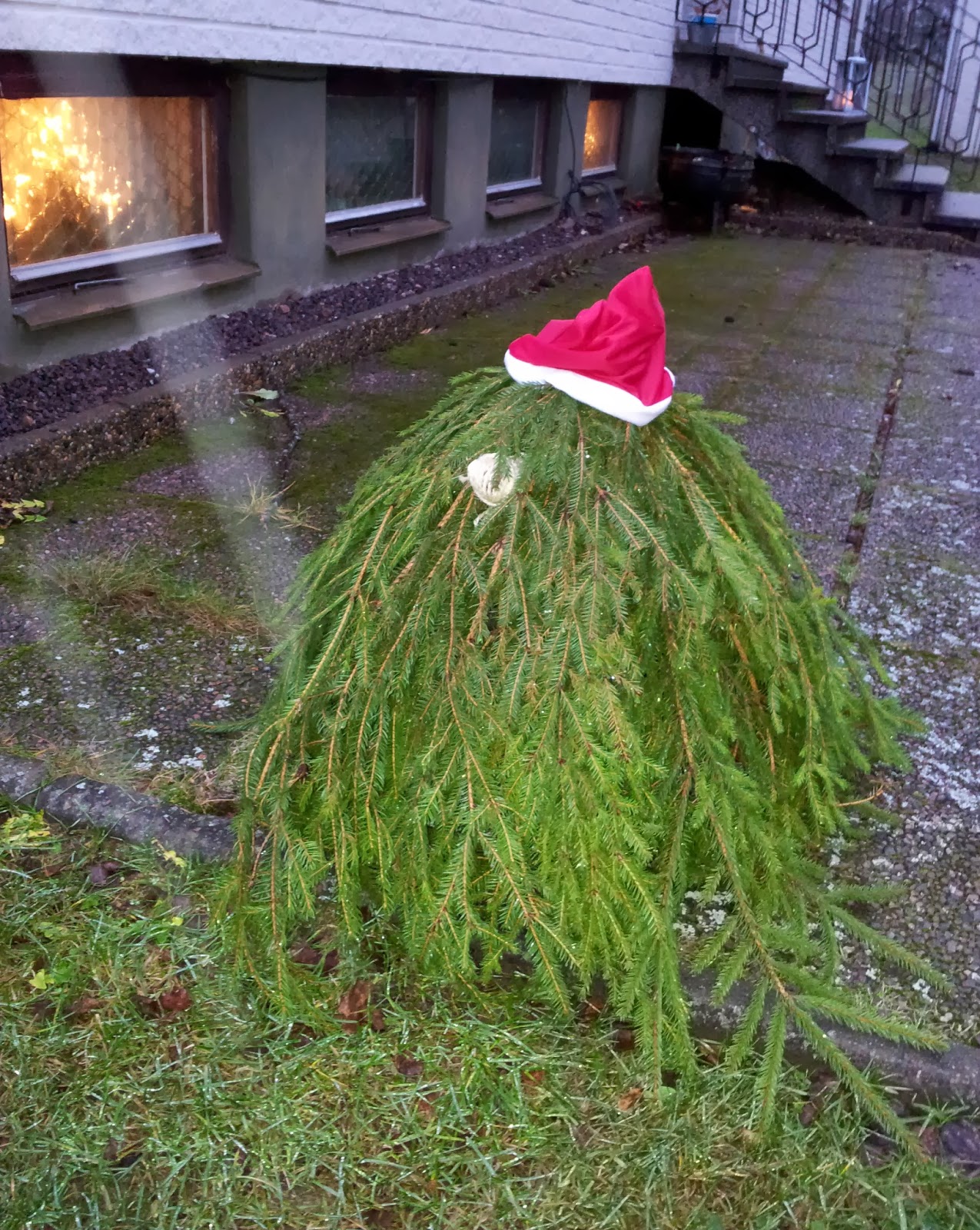 Baktankar: Hjortkvarnsbesöket