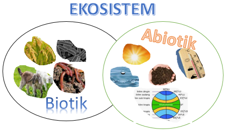 Biologi SMABA: Ekosistem dan Komponen Penyusunnya