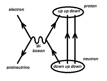 The Singular Primordial Preon Theory: The Singular Primordial Preon Theory