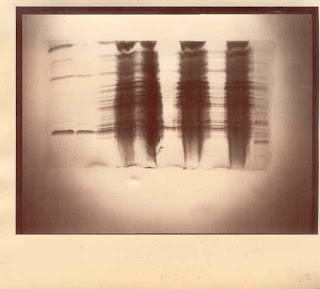 Neo_Bio_Inversion: Bio Inversion