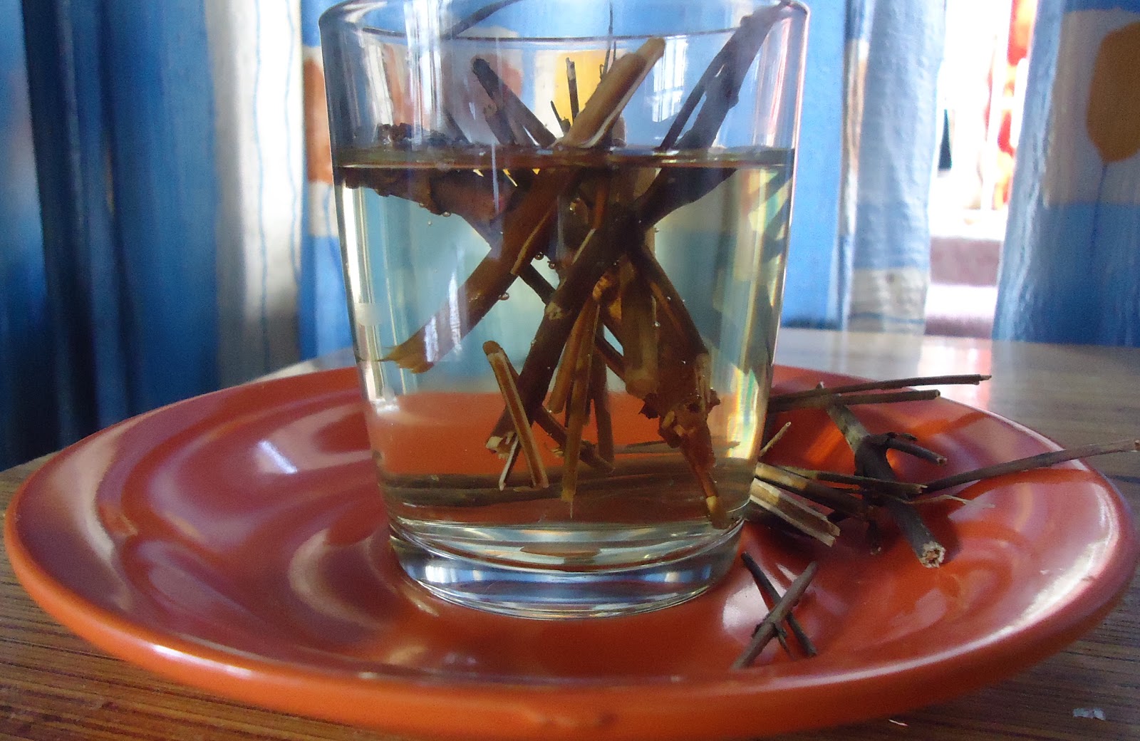 Bengali food stories