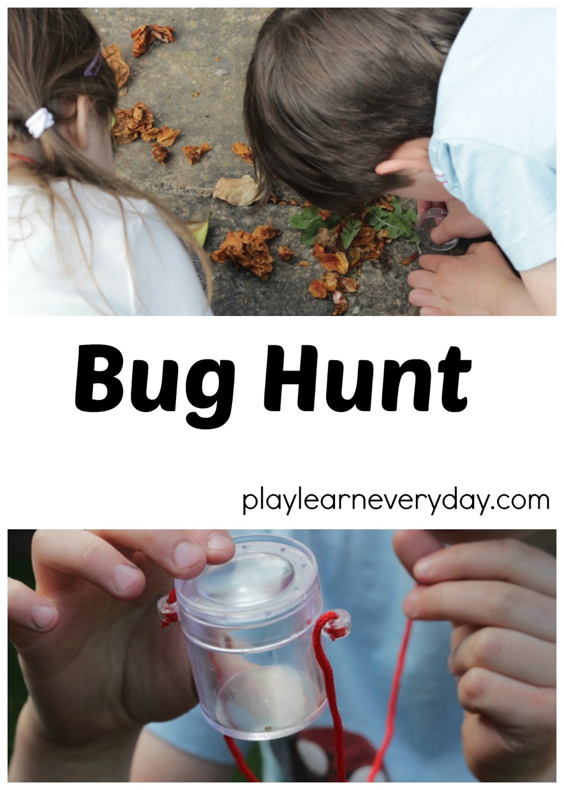 Bug Hunt - Play and Learn Every Day