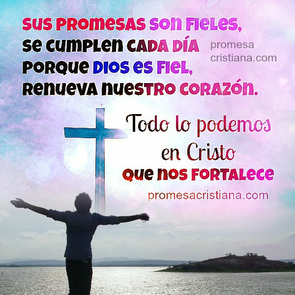 Da Gracias a Dios y cree en sus Promesas | Promesas Cristianas Bíblicas