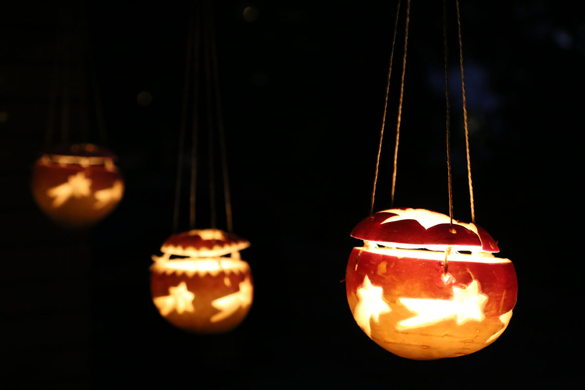 Harmony Valley Farm: Rutabagas & Turnips….Give Them A Chance!