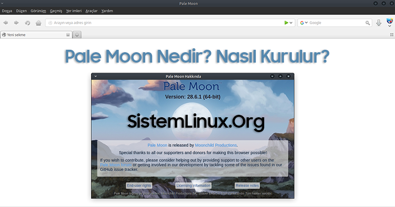 Pale Moon Nedir? Nasıl Kurulur?