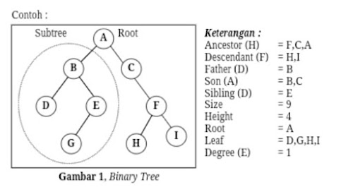 Materi Lengkap Struktur Data Pertemuan 10 STRUKTUR POHON & KUNJUNGAN ...