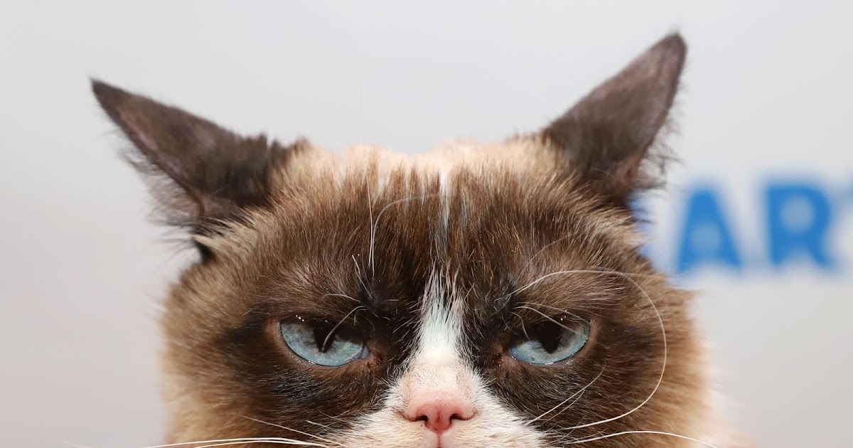 Are Urbanists Too Grumpy?