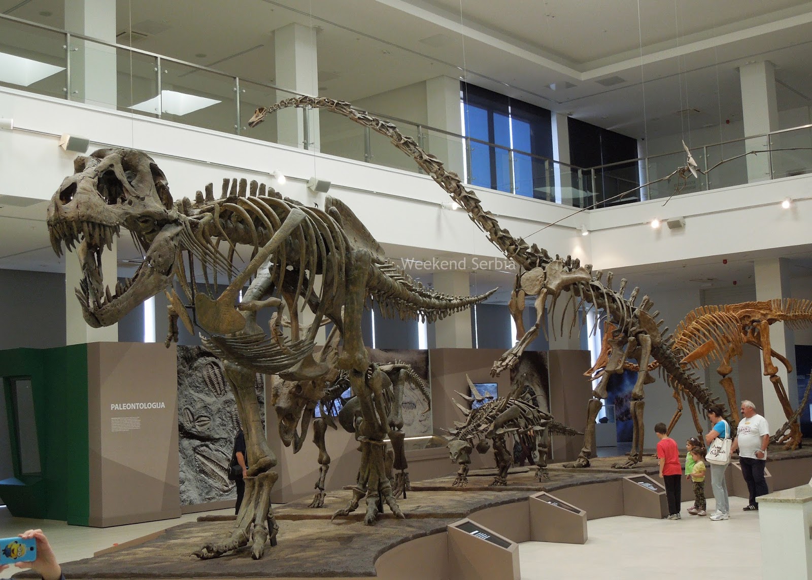 VIKEND PUTOVANJE - SVILAJNAC i DESPOTOVAC