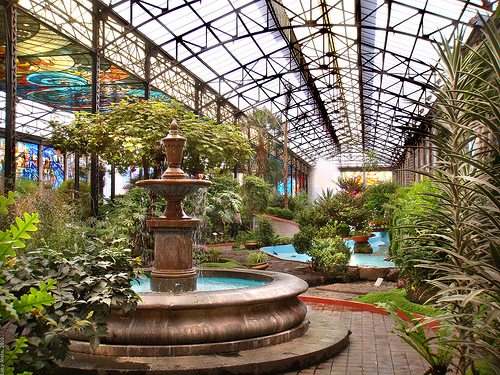 10 INCREÍBLES JARDINES BOTÁNICOS EN MÉXICO
