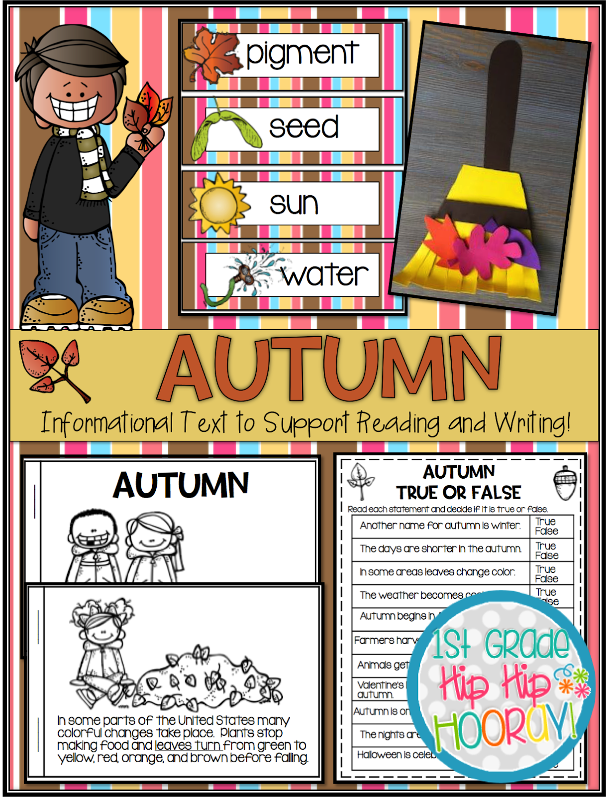 1st Grade Hip Hip Hooray!: Informational Text to Read and Write ...