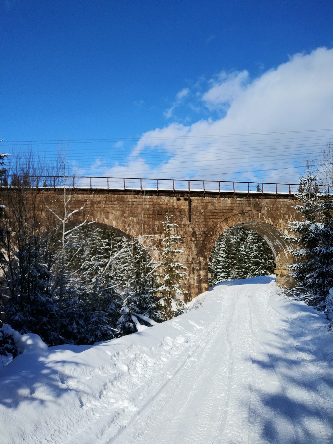 Kelionių pasaulyje: Lvovas-Karpatai 2020. Žiema.
