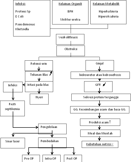 PATHWAY VESIKOLITHIASIS | Teguh Subianto