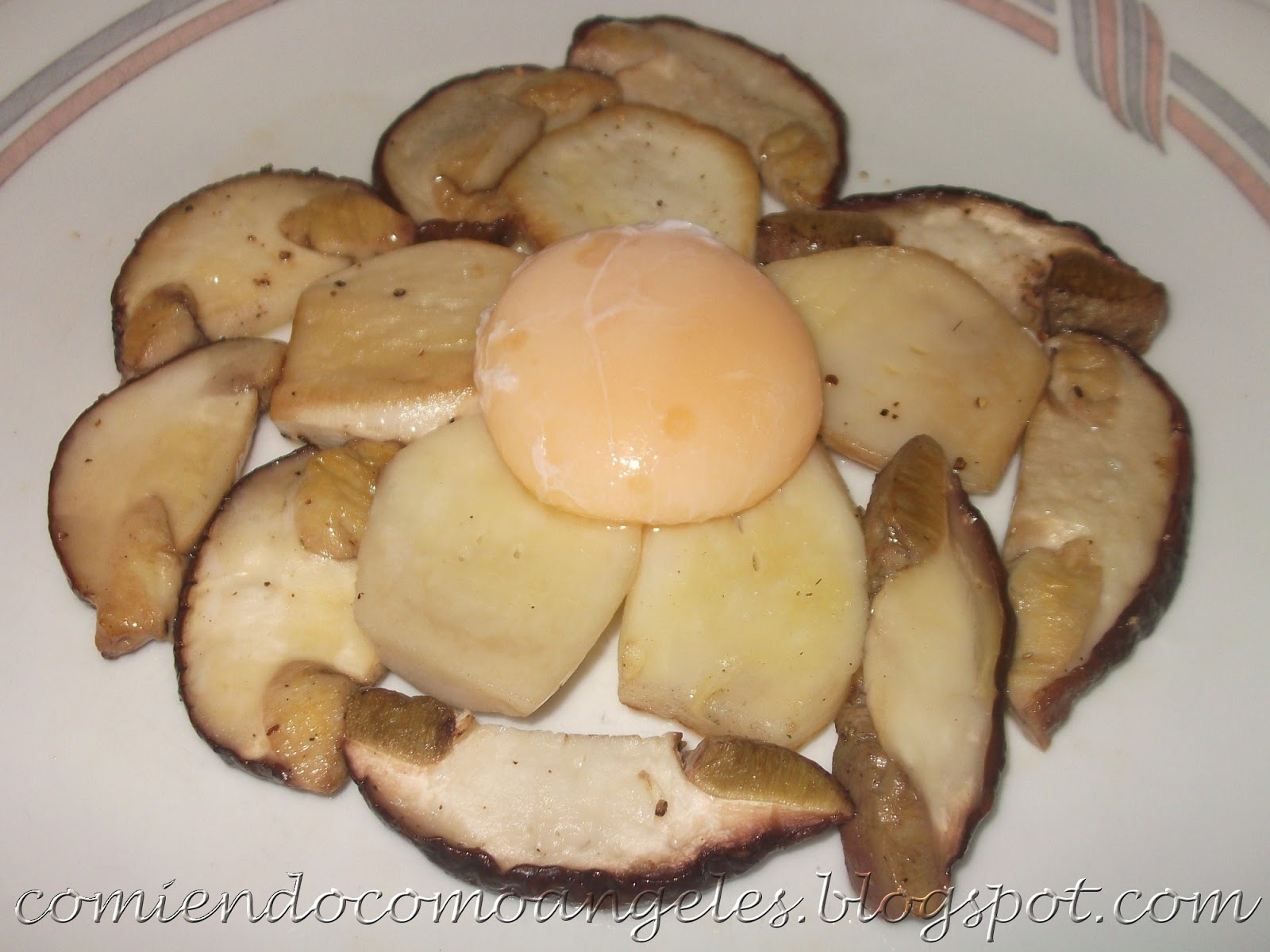 COMIENDO COMO ANGELES: Del bosque a la mesa: ceps a la plancha con yema ...