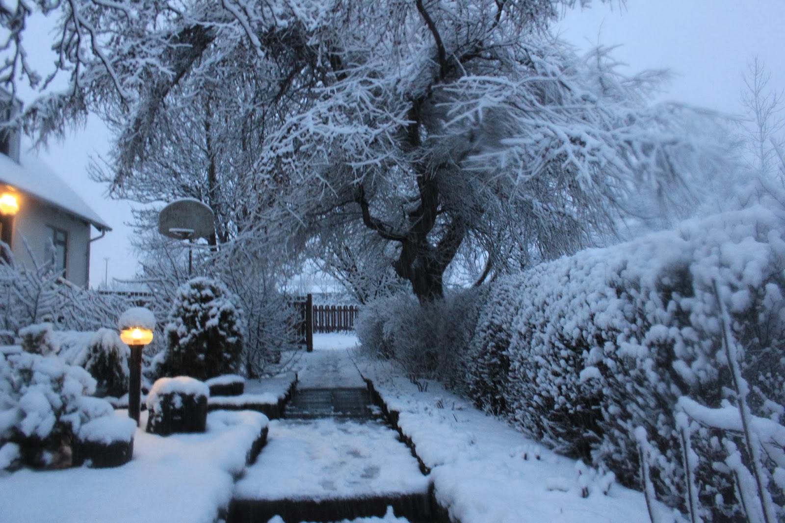 Iceland news and more,video and photos: Little bit of snow in Reykjavik ...