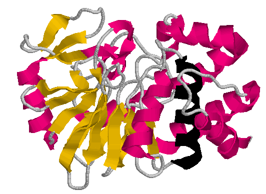 Cuaderno de Ingeniería de Proteínas: Hidrofobicidad y antipatía de ...