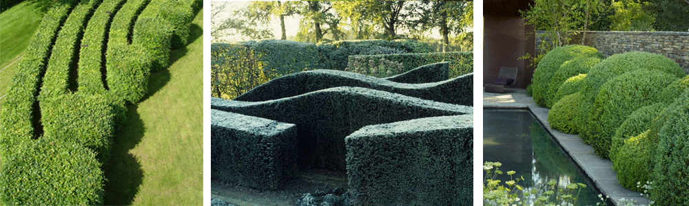 grounded design by Thomas Rainer: Garden Design Trends 2012