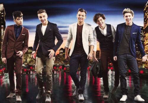 Everything About 1D Directioners