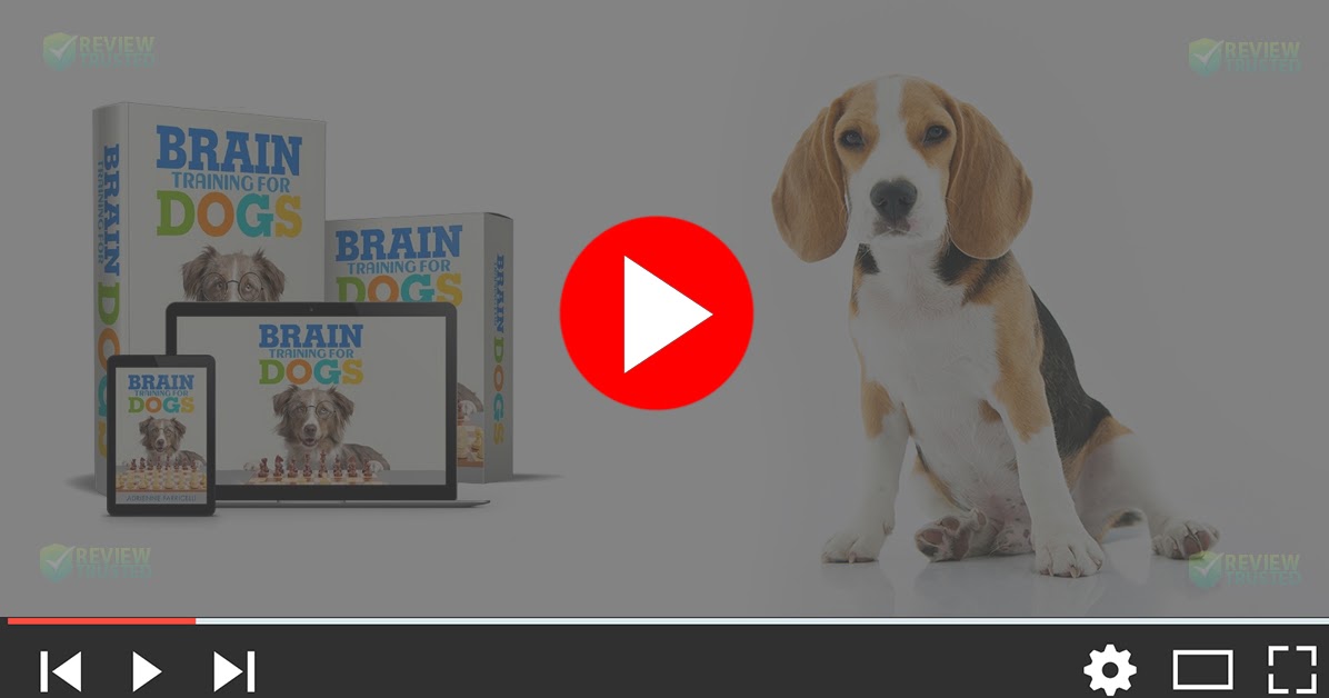 Brain Training For Dogs