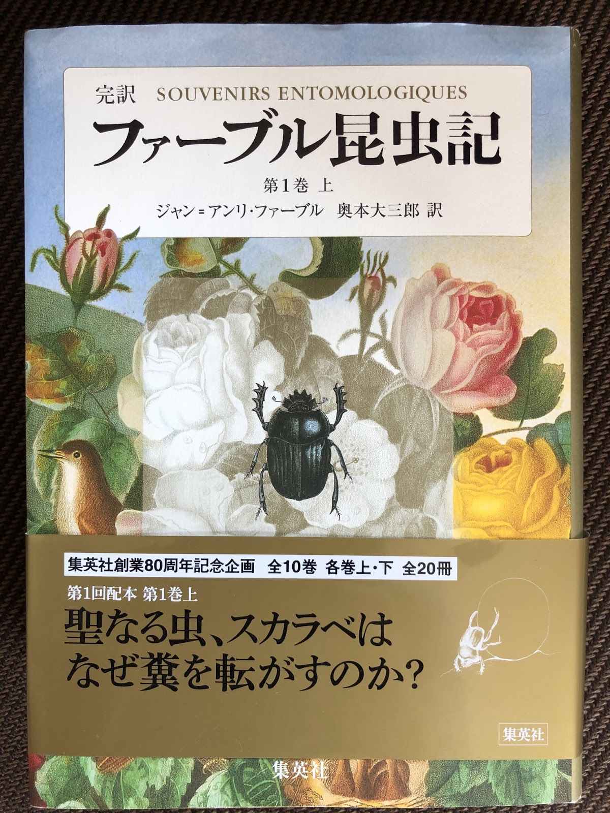 KALI'S SCRATCH BOOK: 2020