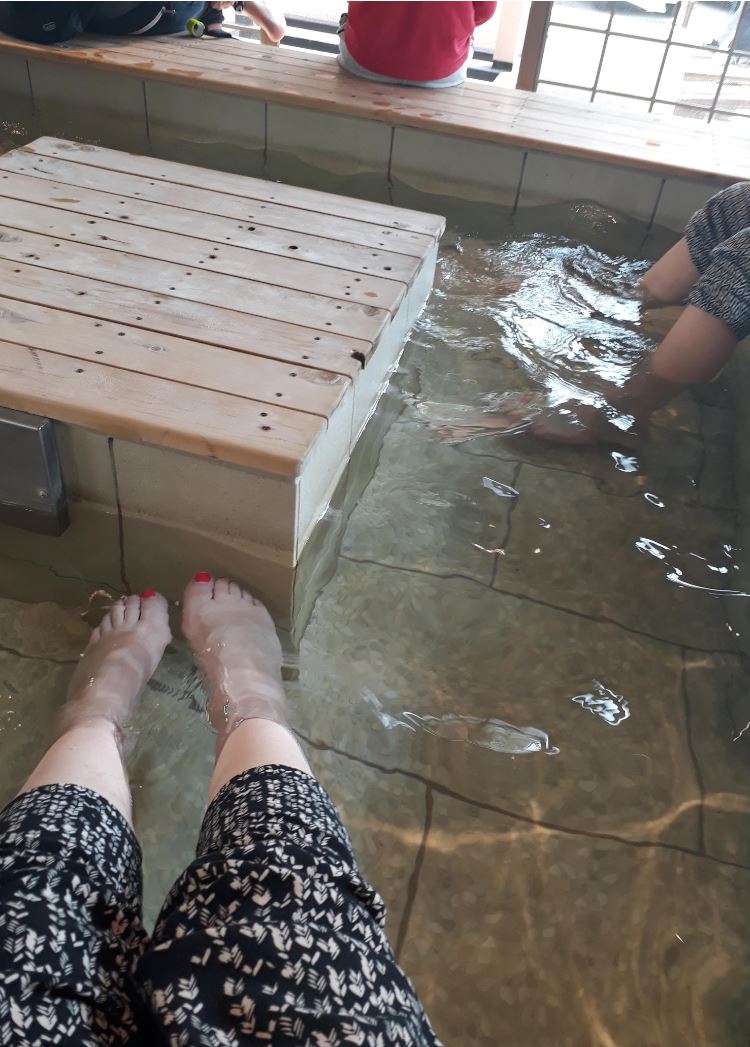 8 Reasons why you should visit Minoo Park