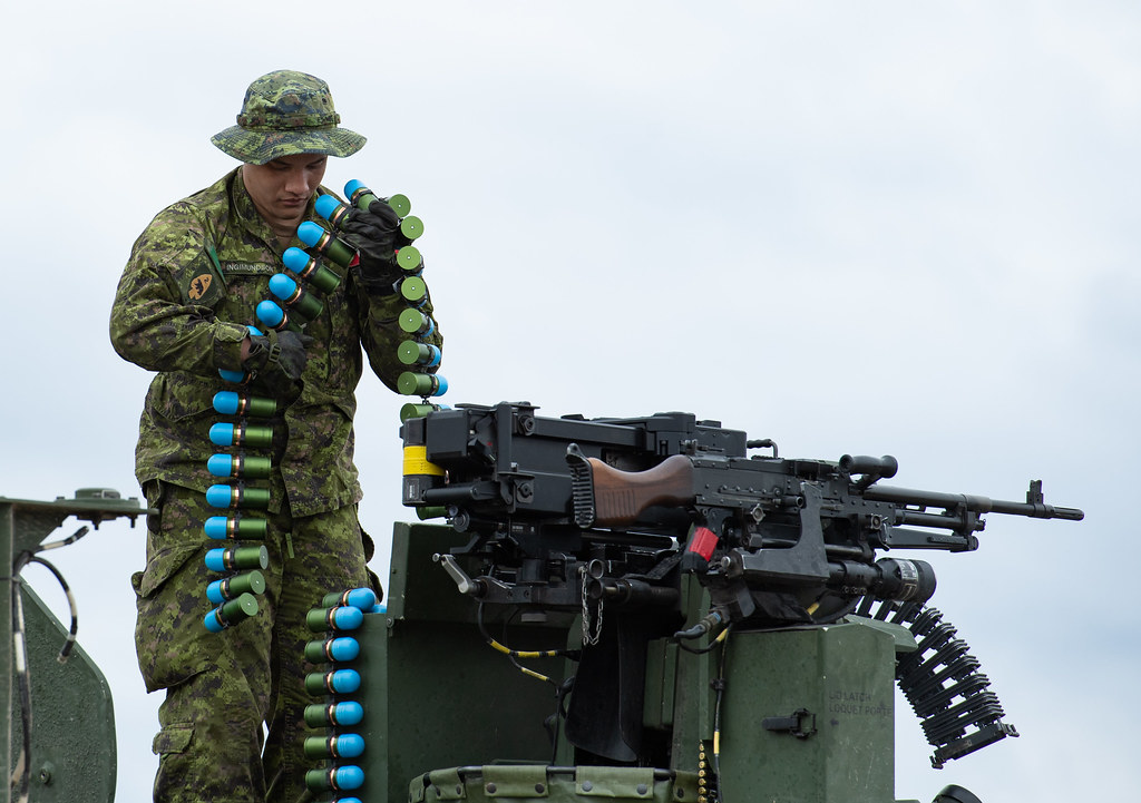 SNAFU!: The Royal Canadian Dragoons (RCD) conduct level 2 and 3 patrols