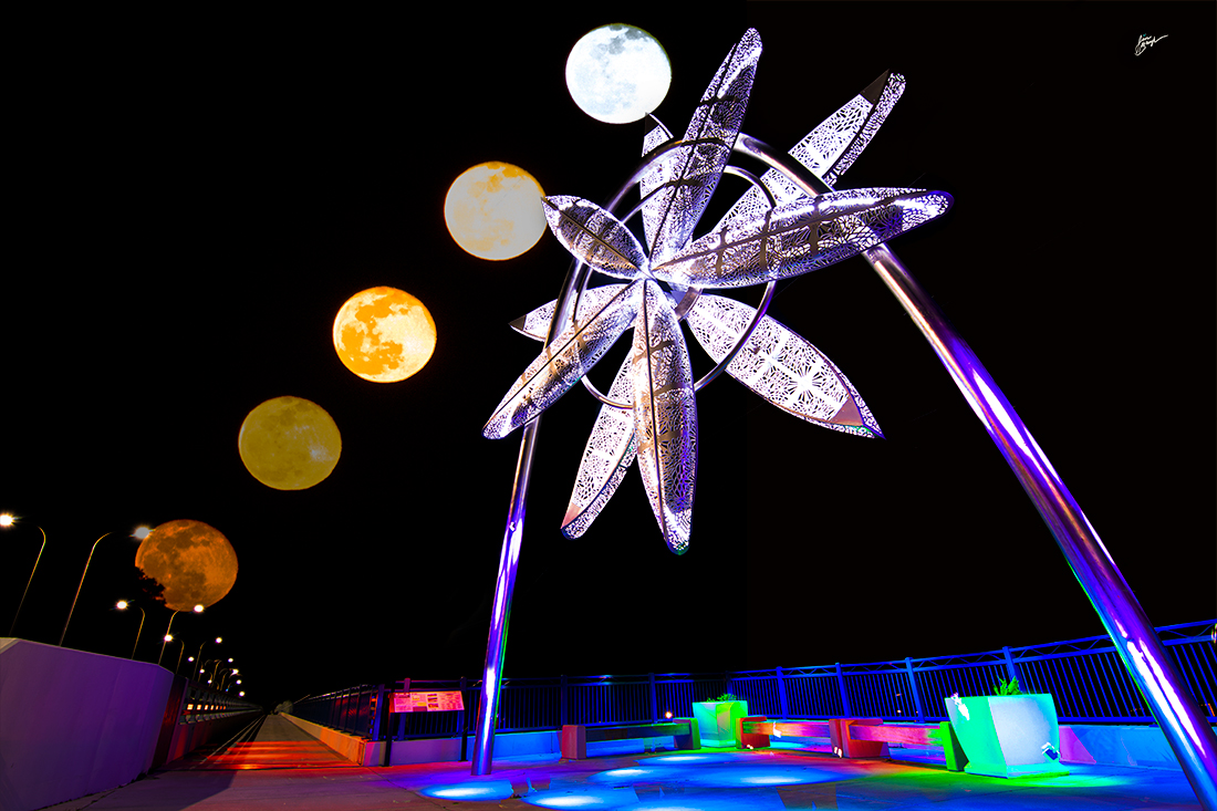 Jim Baugh Outdoors TV: NEW Digital Prints and Metal Prints are now ...