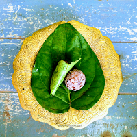 Tamul Paan : Areca nut and Betel leaf
