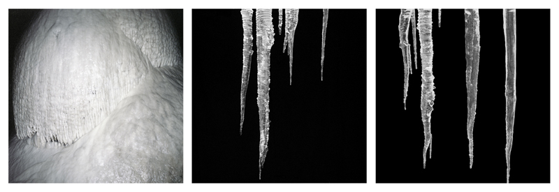 Local Artist Interviews: Paula McCartney - Photographer