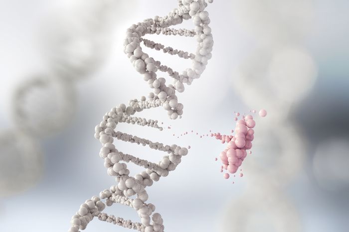 Mutasi pada Bakteri - Sains Terapi