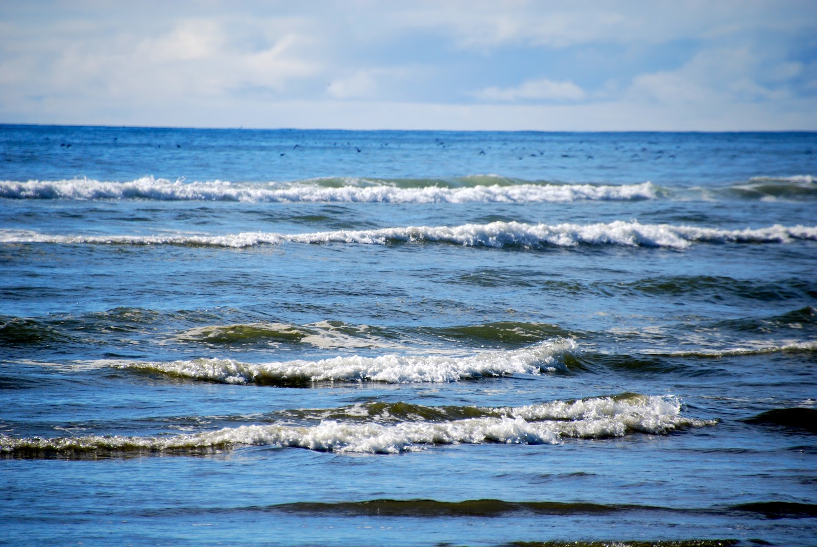 Wanderlust Traveler: Ocean Shores, Washington