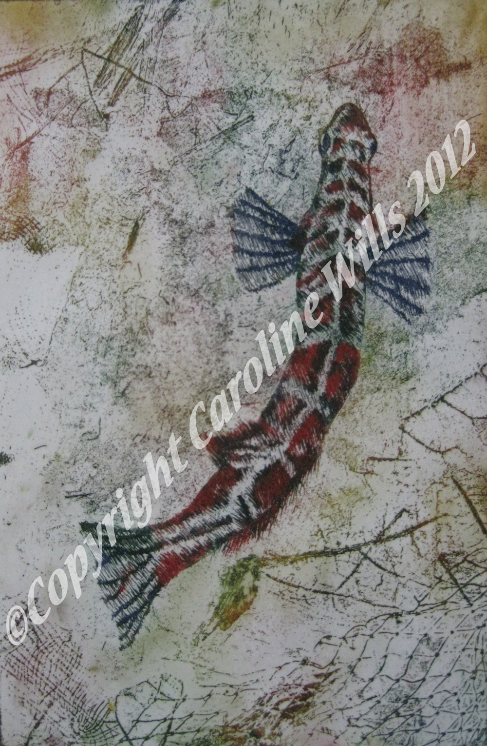 Caroline Wills: Printmaking