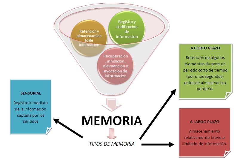MANUAL DE PSICOFISIOLOGIA UNICUC: LA MEMORIA