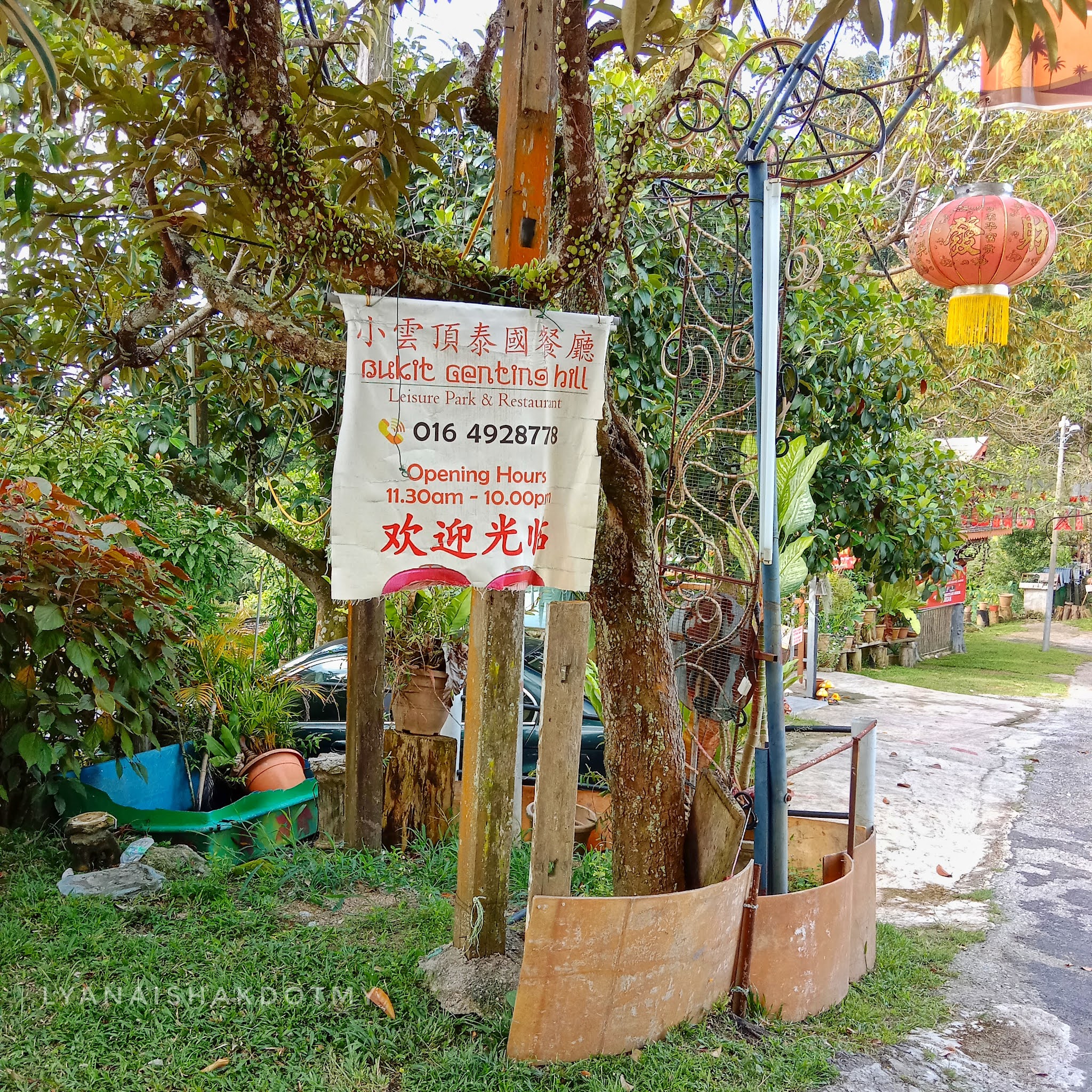 Hiking Bukit Genting , Balik Pulau , Penang | Lyana Ishak